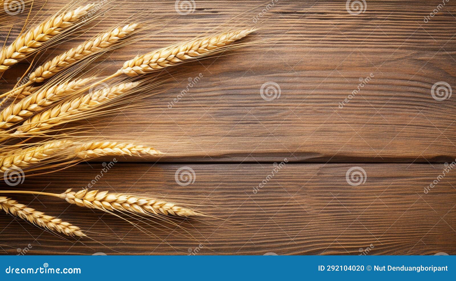Photograph of Wheat Grain with Studio Lighting on Wood Background Stock ...