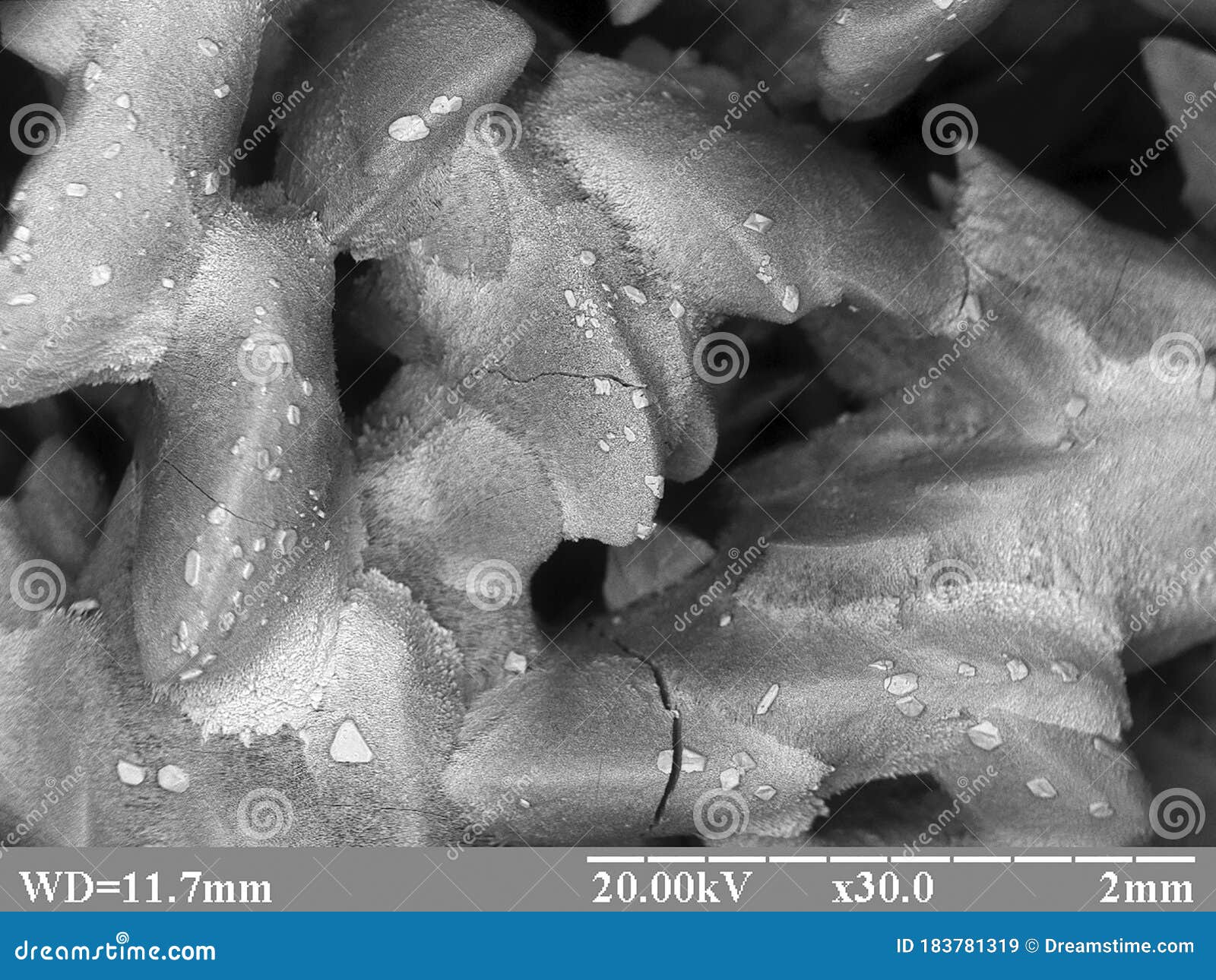 Wine Rock Surface Structure Stock Image - Image of micromorphology ...