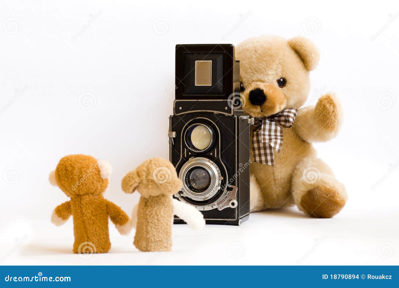 Photographe D'ours De Nounours Photo stock - Image du ours, câlin: 18790894