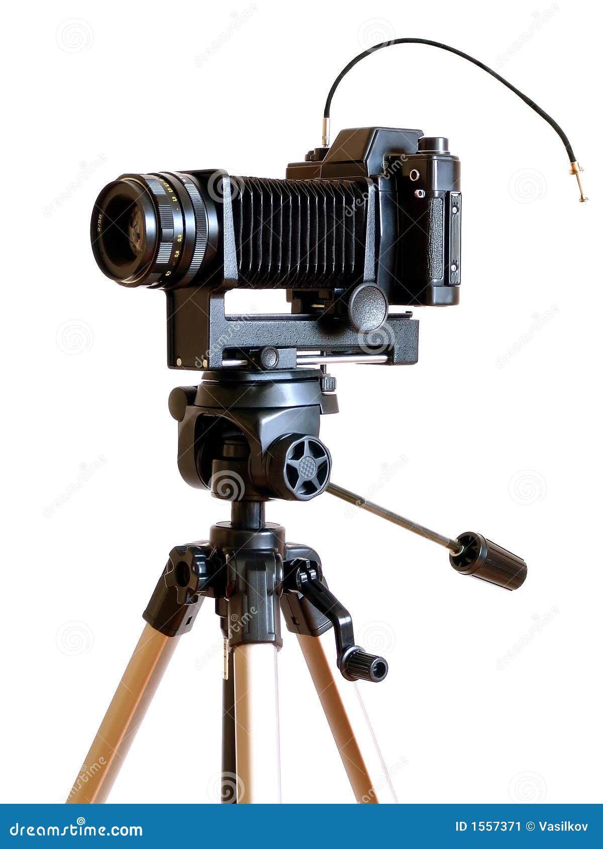 Photogaph Stock Photos - Free & Royalty-Free Stock Photos from Dreamstime