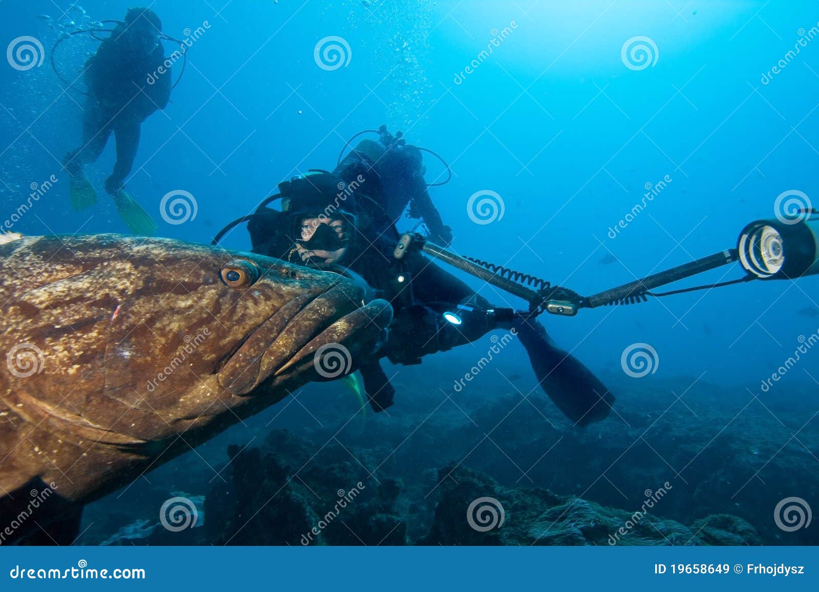 Photographer and big fish stock image. Image of water - 19658649