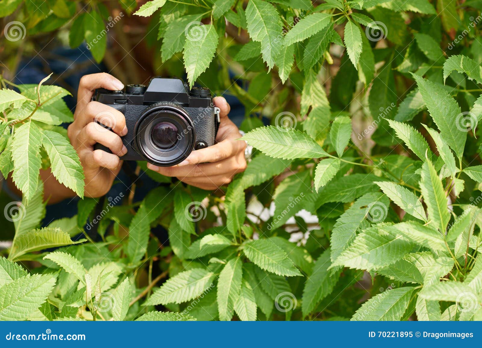 Photographer in bushes stock image. Image of technology - 70221895