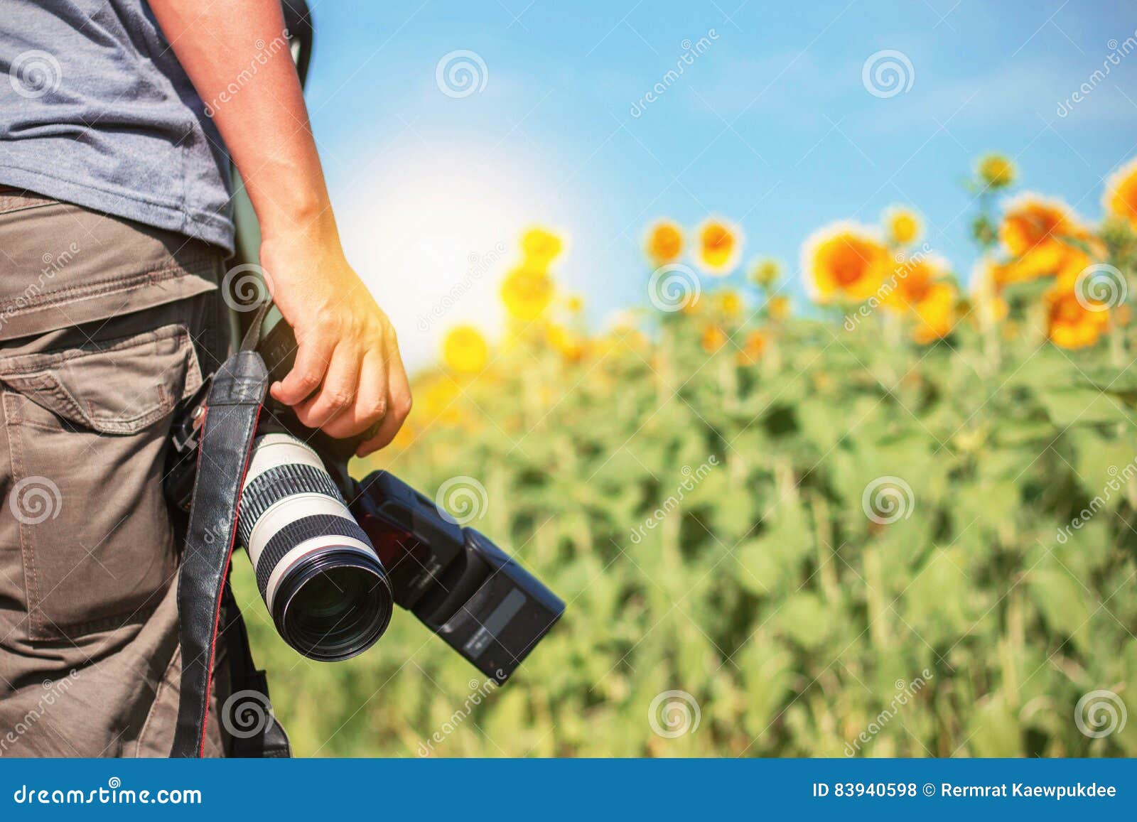 Photographer with the Garden Sunflowers. Stock Photo - Image of people ...