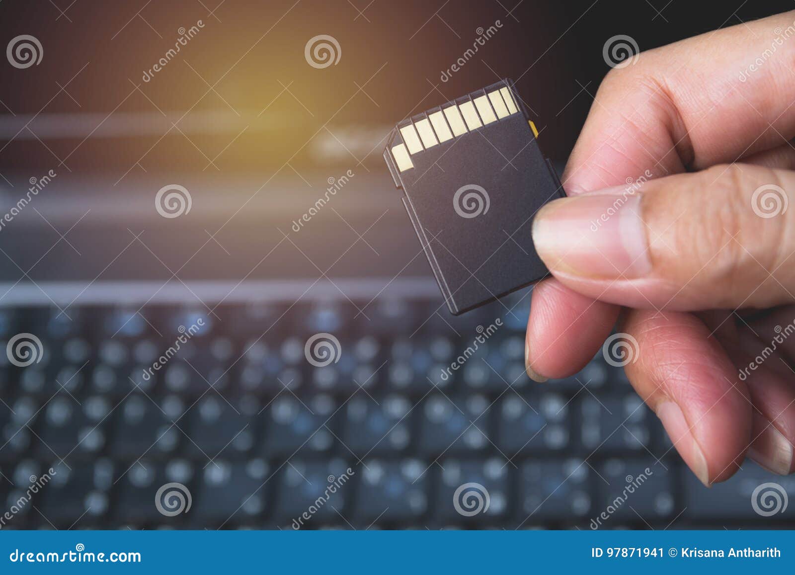 Photographer`s Hand Holding Memory Card Stock Image - Image of digital ...