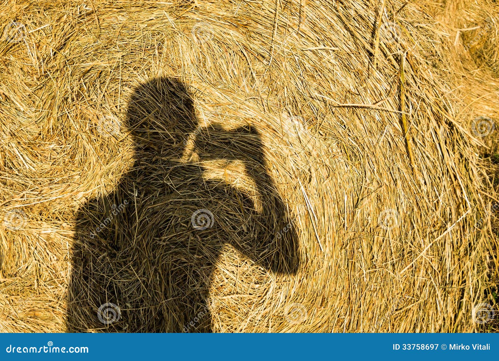 Photographer S Shadow on Hay Stock Image - Image of summer, projection ...