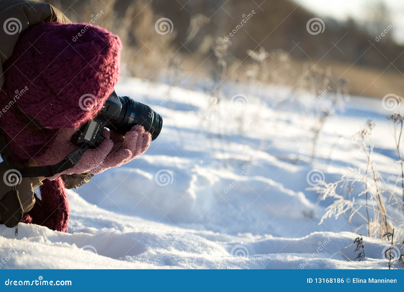 Photographer shooting stock photo. Image of gloves, digital - 13168186