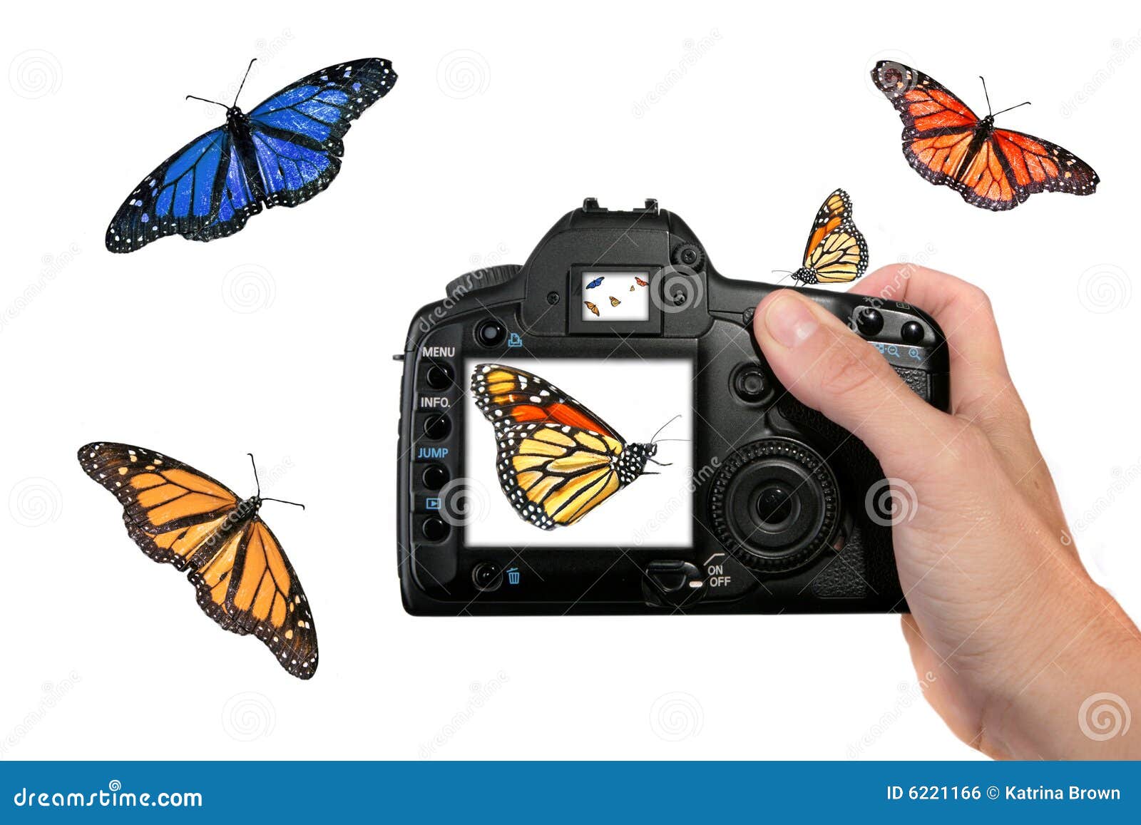 Photographer Shooting Butterflies in the Air Stock Photo - Image of ...