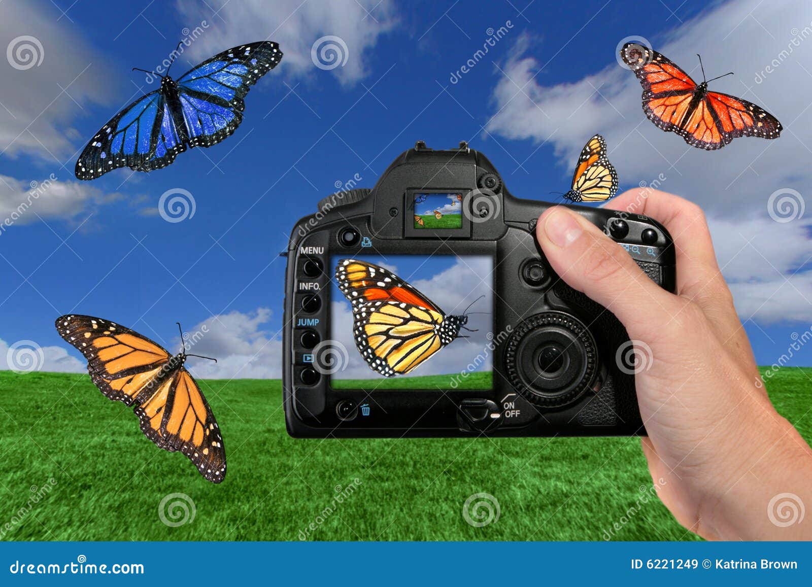 Photographer Shooting Butterflies in the Air Stock Image - Image of ...
