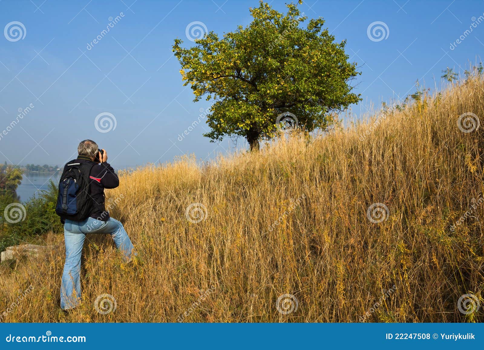 Photographer Shooting a Green Tree Stock Photo - Image of single ...