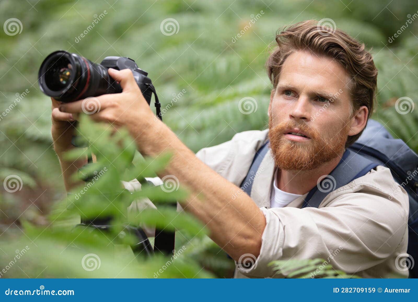 Photographer Shooting Scene in Forest Stock Image - Image of young ...