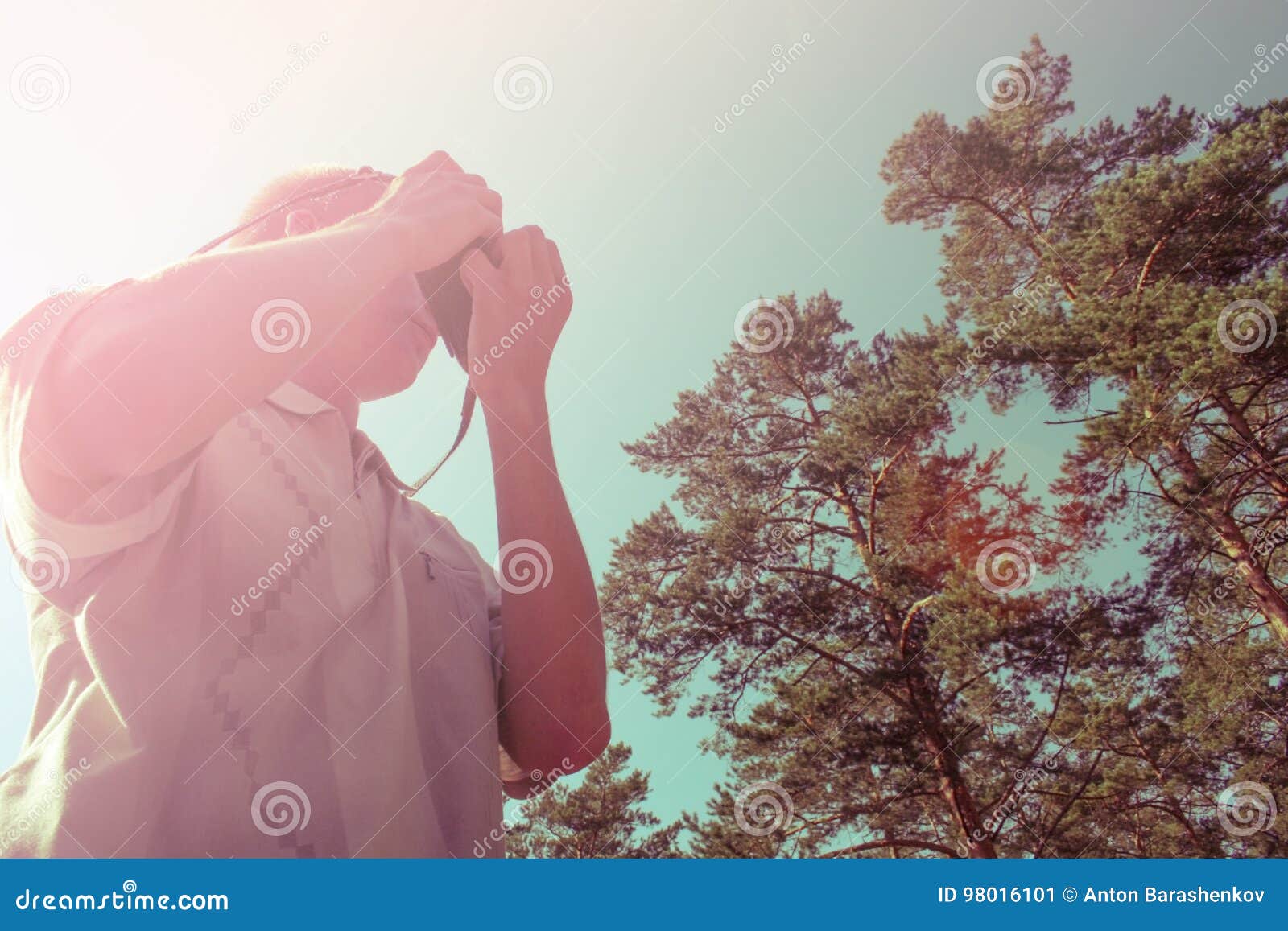 Photographer Shoots on Camera in Forest, Bottom View Stock Image ...