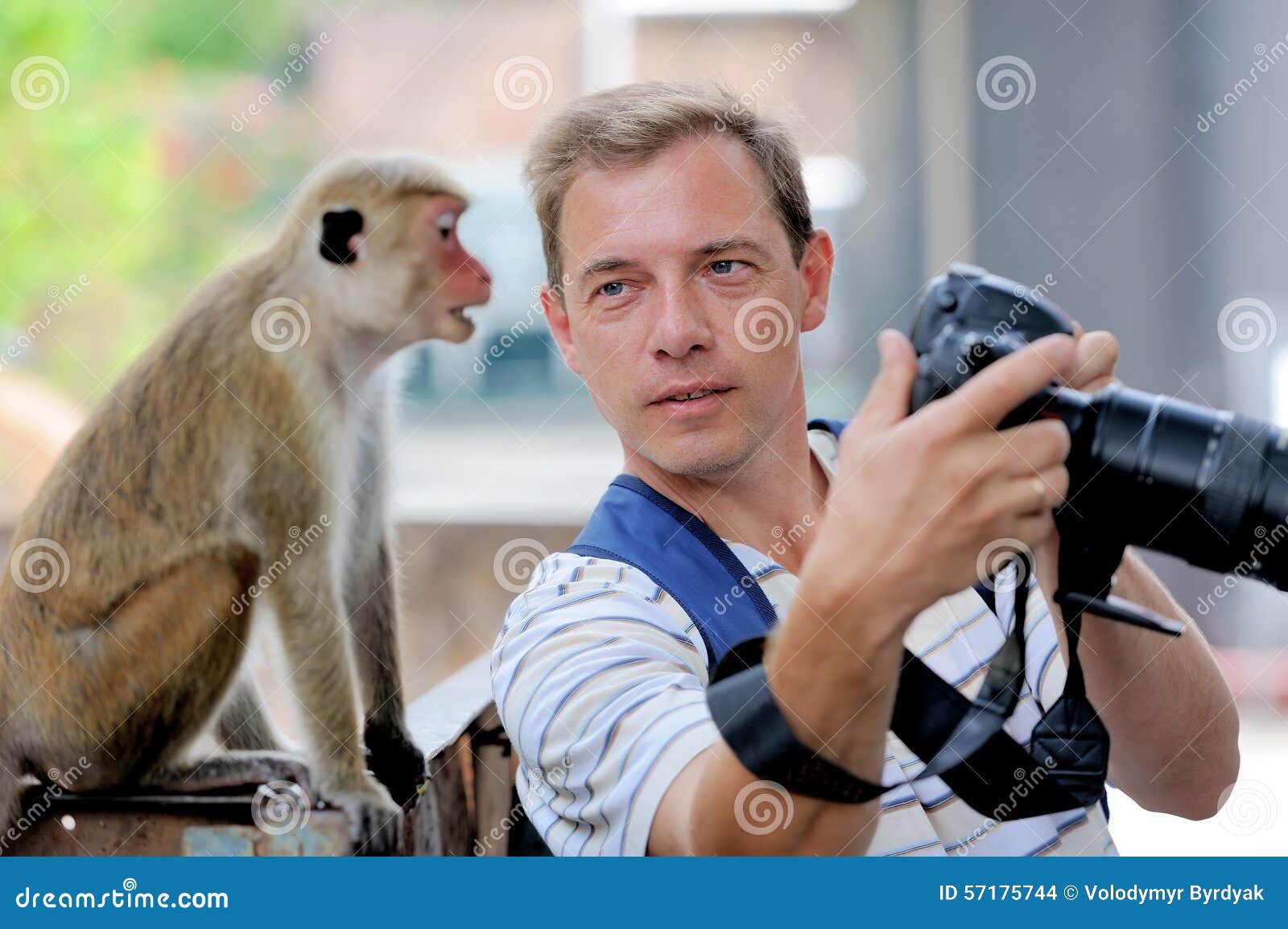 Photographer Shows a Monkey Stock Photo - Image of animal, adult: 57175744