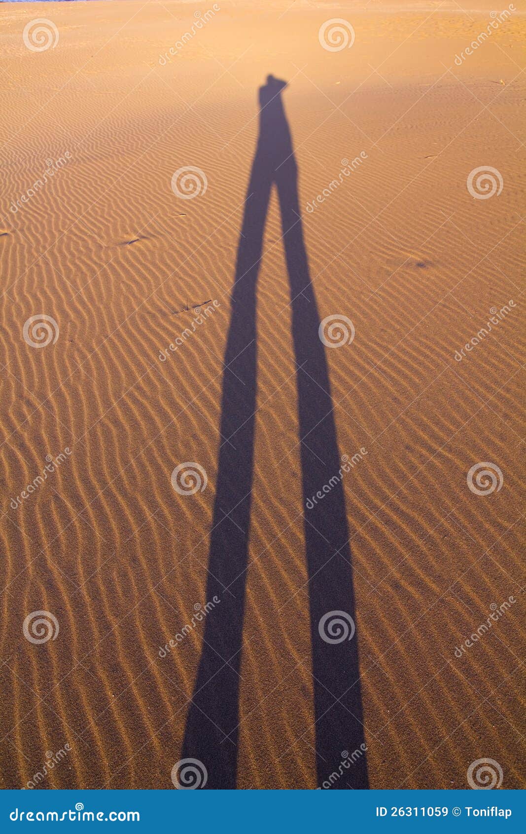 Photographer Silhouette on the Sand. Stock Image - Image of sand, long ...