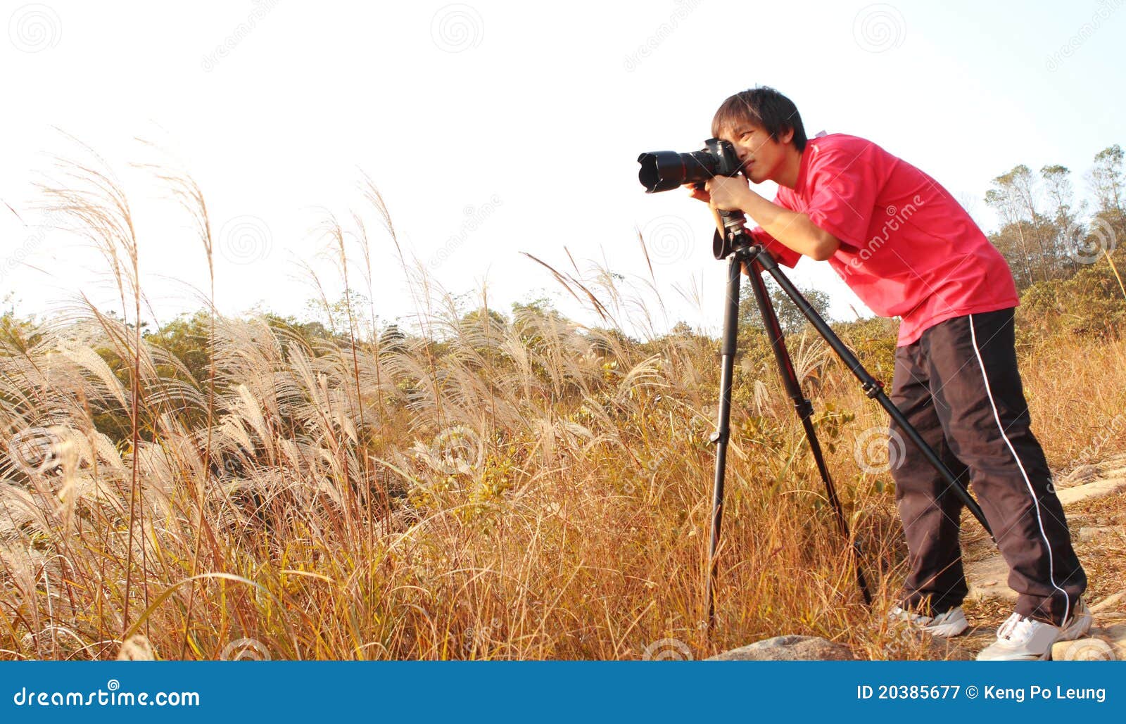Photographer taking photo stock image. Image of grass - 20385677
