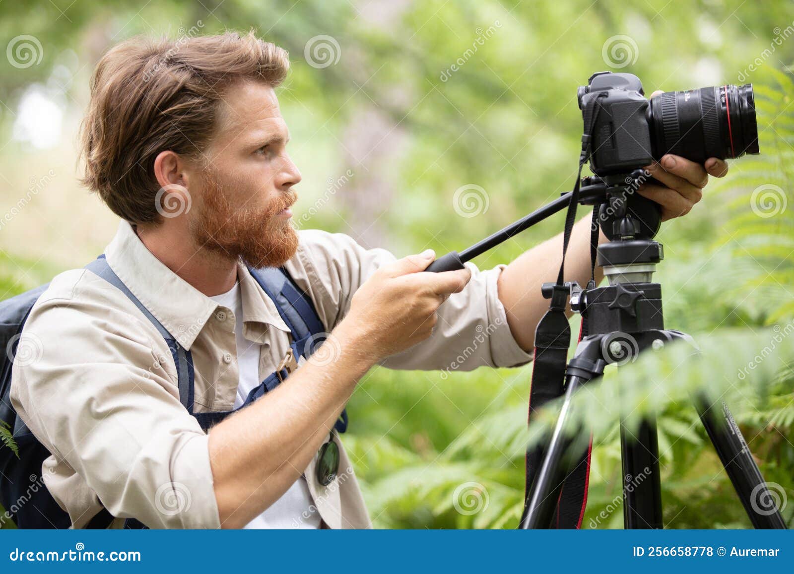 Photographer Taking Photo in Wild Stock Photo - Image of journalist ...