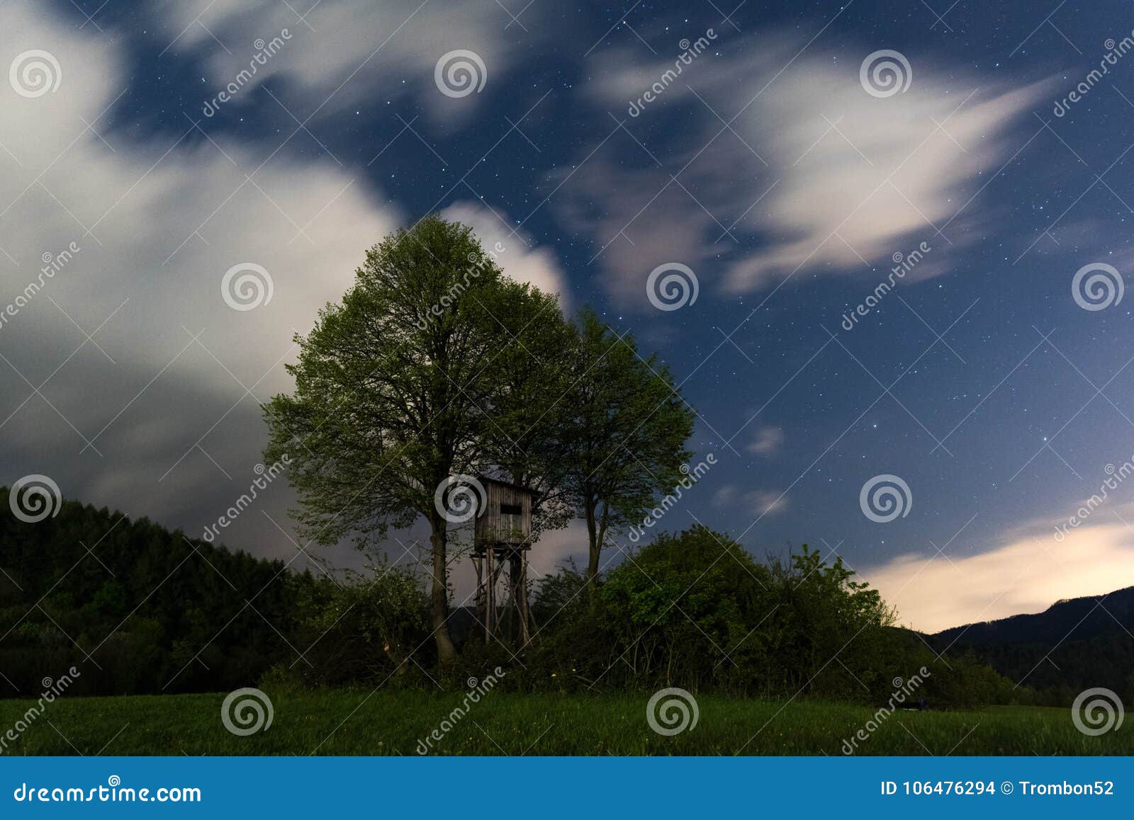 Hide on tree stock photo. Image of landscape, beautiful - 106476294
