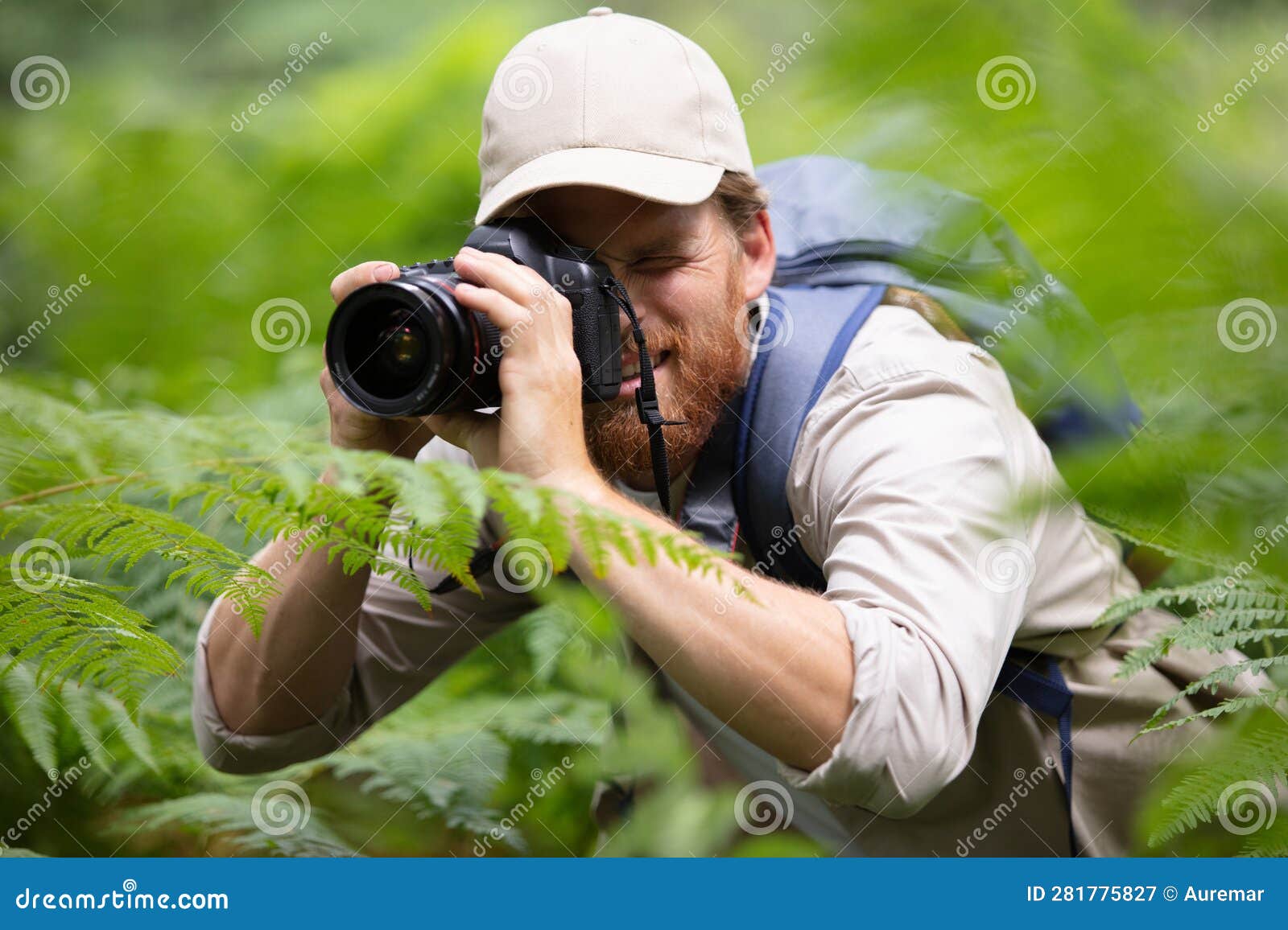 Photographer Using Camera in Forest Stock Image - Image of high ...
