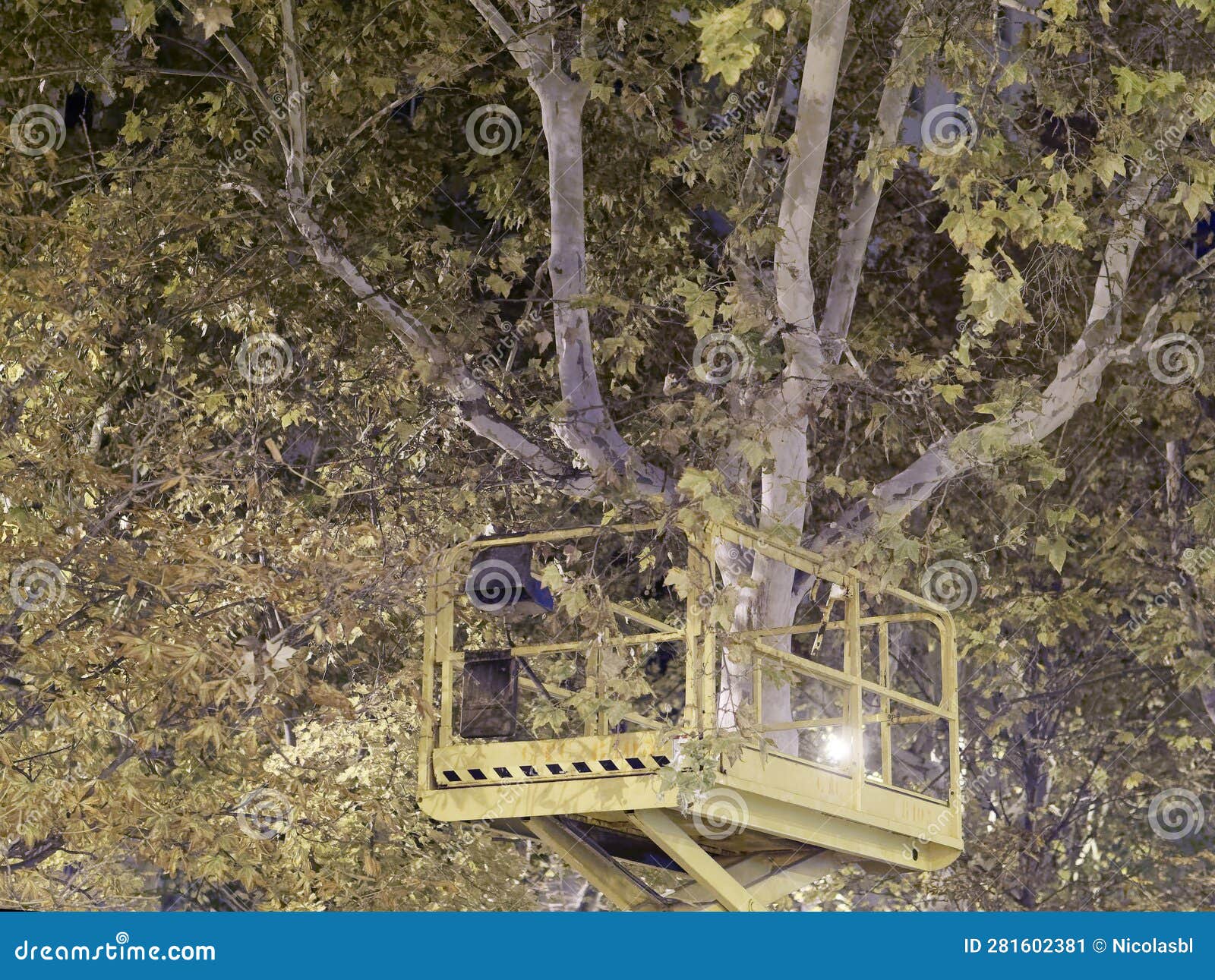 Self-elevating Platform Placed Next To the Tree. Stock Image - Image of ...