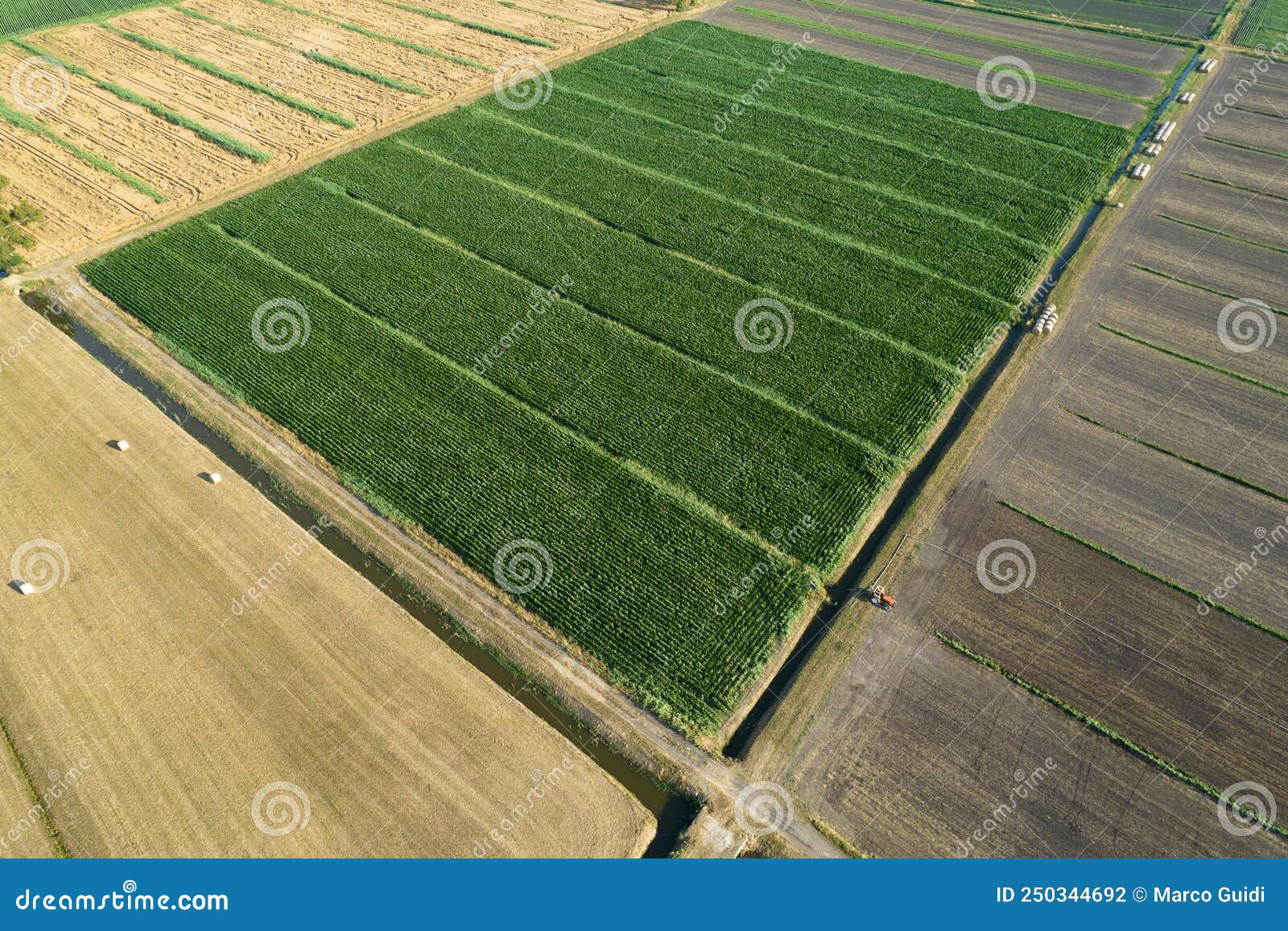 Cultivation of the Fields Seen from Above Stock Photo - Image of ...