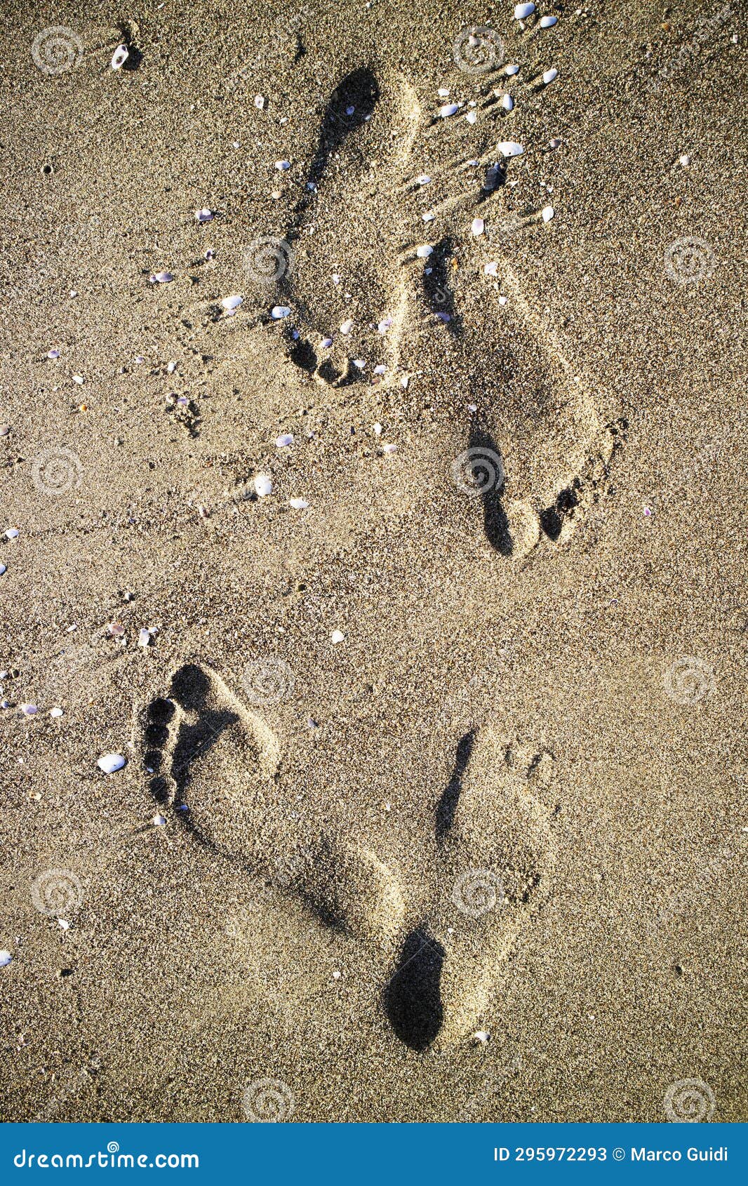 Photographic Documentation Human Footprints in the Sand Stock Image ...