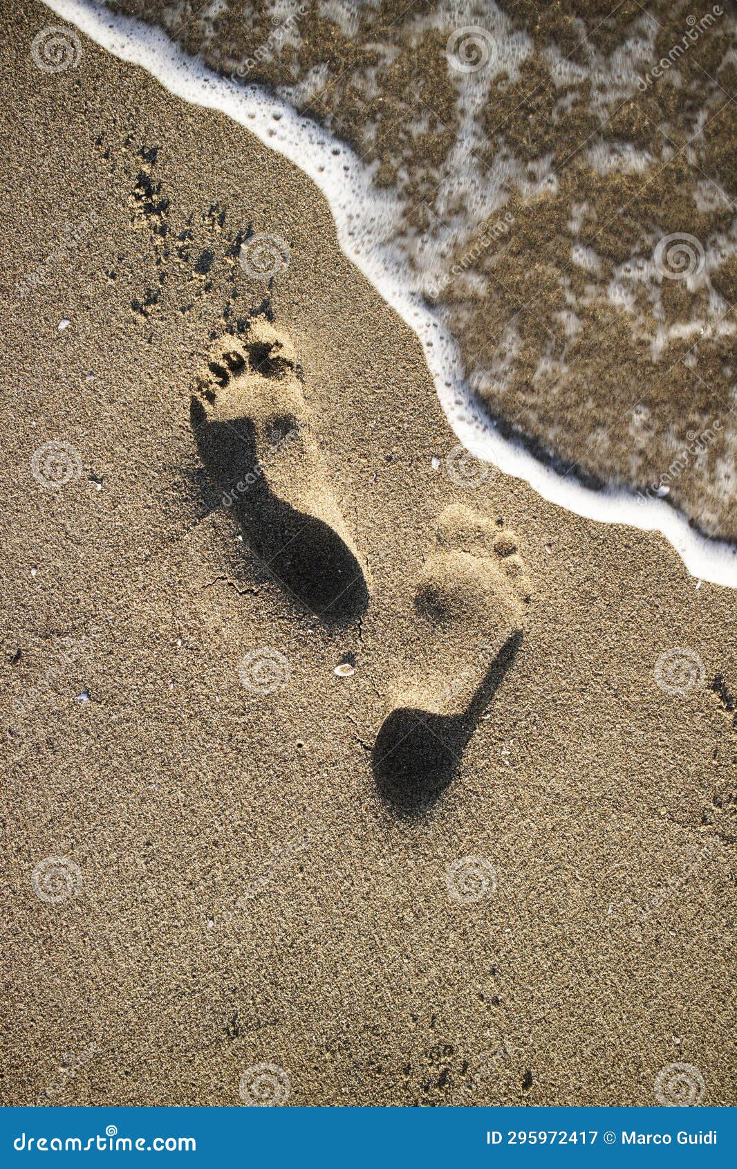 Photographic Documentation Human Footprints in the Sand Stock Image ...