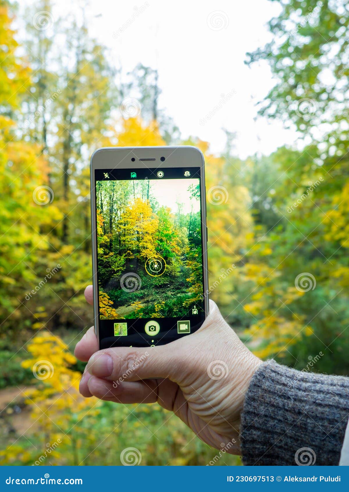 Photographing the Autumn Forest. Phone in Hand Stock Image - Image of ...