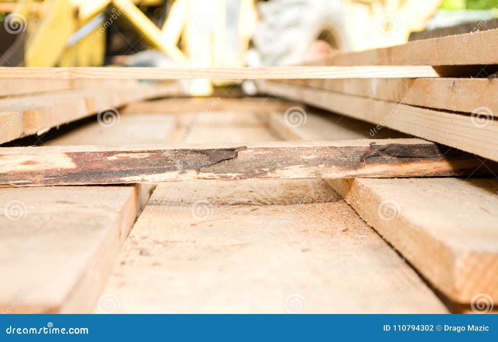 Photographing timber stock photo. Image of backyard - 110794302