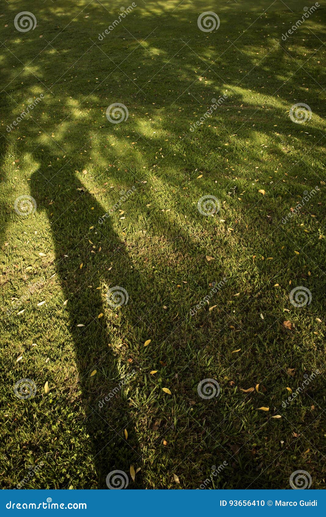 Photographing your shadow stock photo. Image of person - 93656410