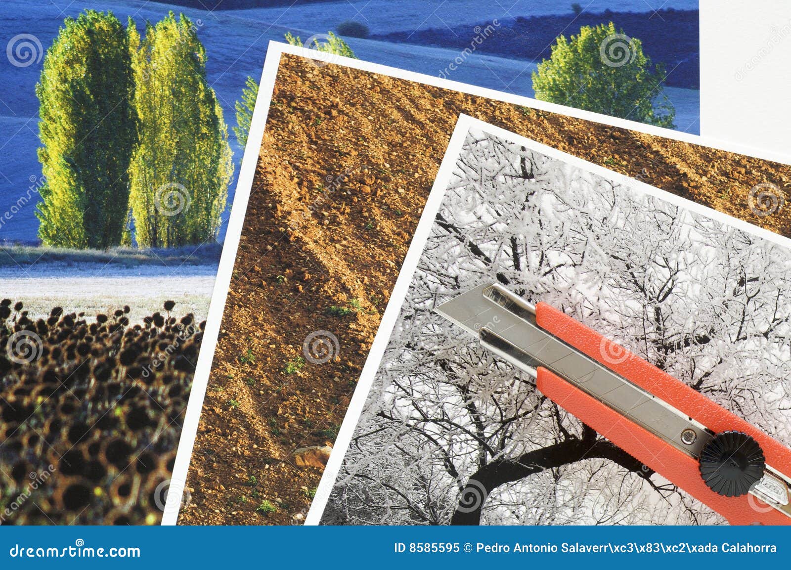 Photographs and cutter stock image. Image of blue, concept - 8585595