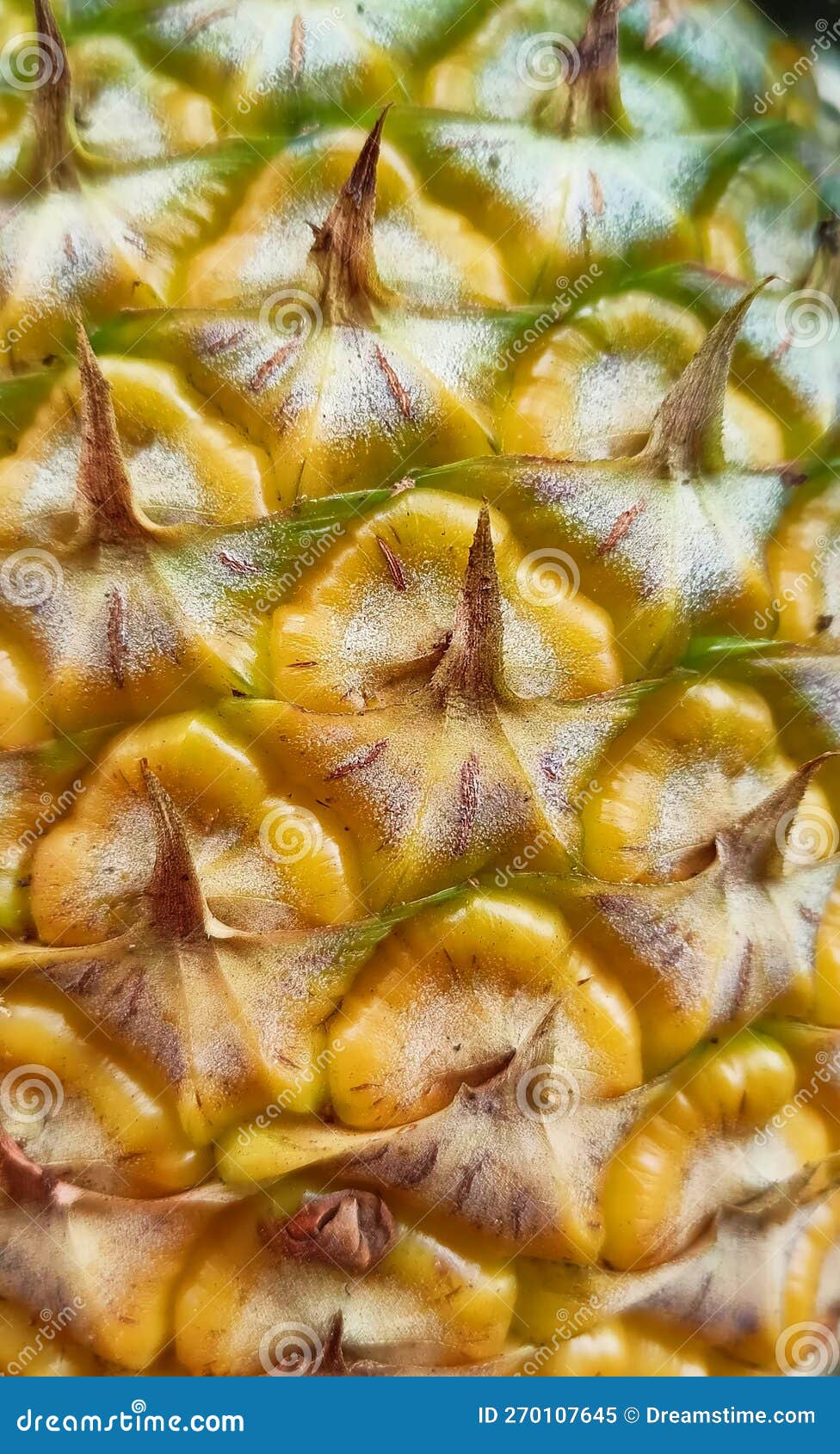 Photography Background Nature of Pineapple Skin Stock Image - Image of ...