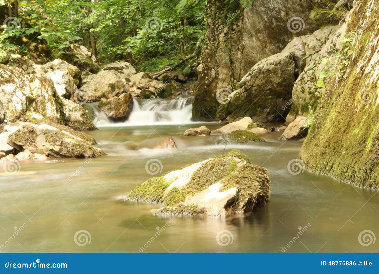 Photography stock photo. Image of poop, nature, beautiful - 48776886
