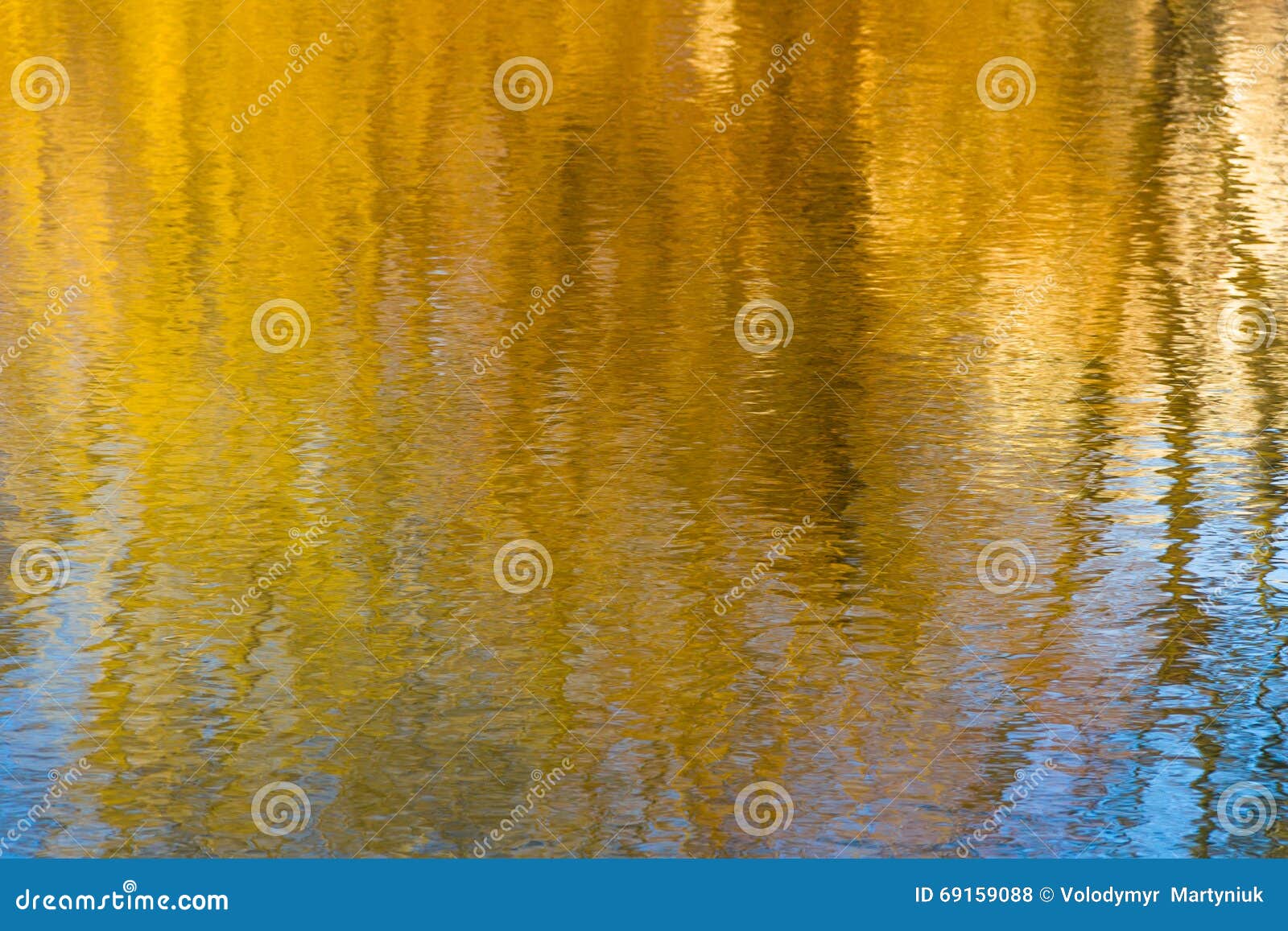 Photography Blur Tree Reflection on Water. Stock Photo - Image of ...