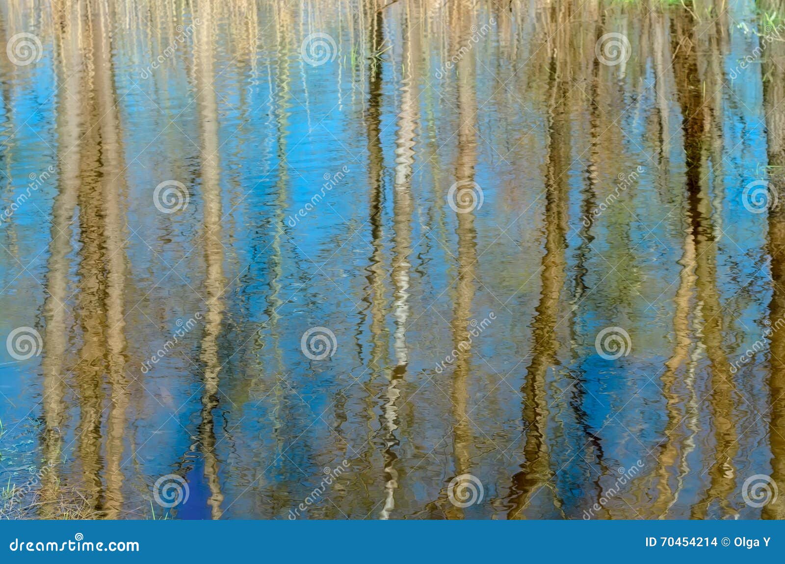 Photography Blur Tree Reflection on Water. Natural Background. Stock ...