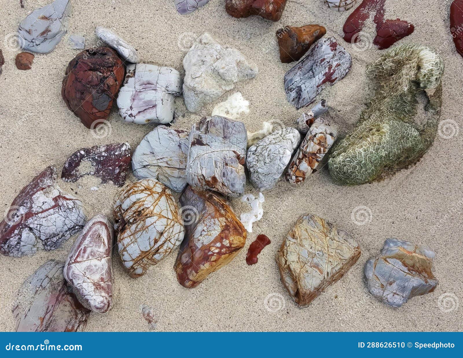 A Photography of a Bunch of Rocks and Stones on a Beach, Conch Shells ...