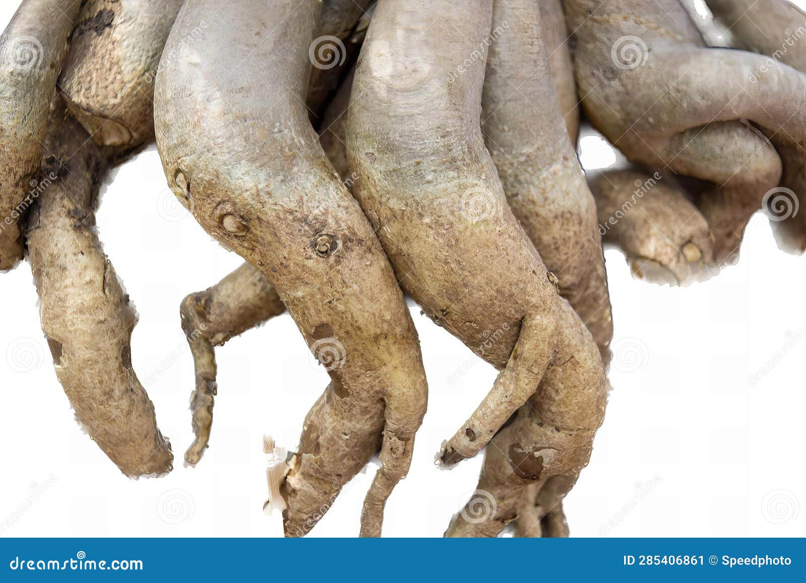 A Photography of a Bunch of Root with a White Background, There are ...