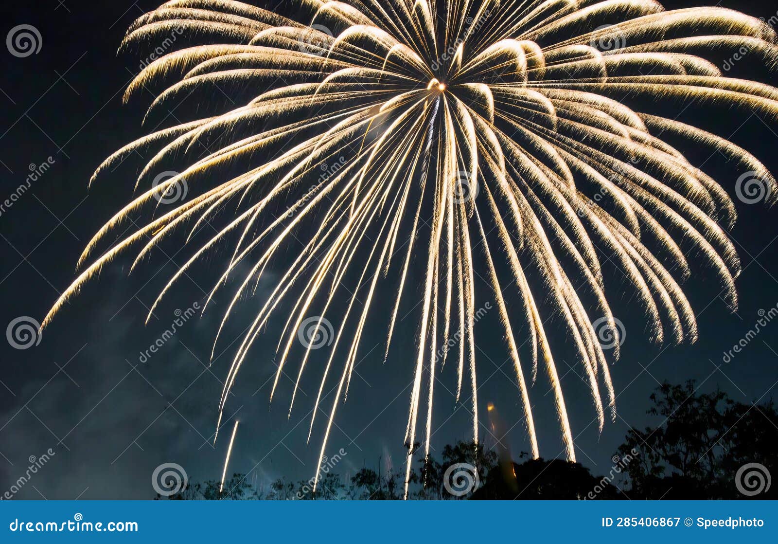 A Photography of a Fireworks is Lit Up in the Night Sky, Fireworks in ...