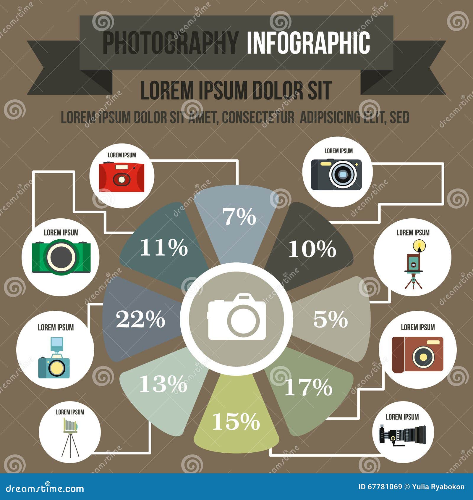 Photography Infographic, Flat Style Stock Vector - Illustration of ...