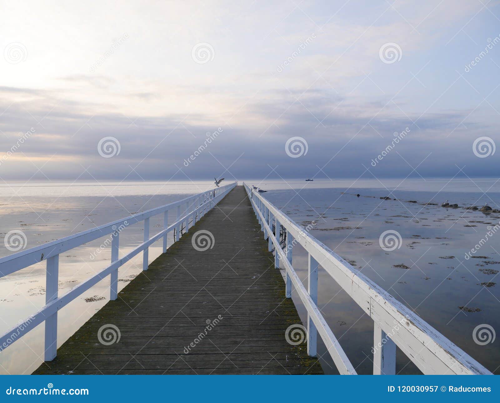 Pontoon bridge on the sea stock image. Image of birds - 120030957