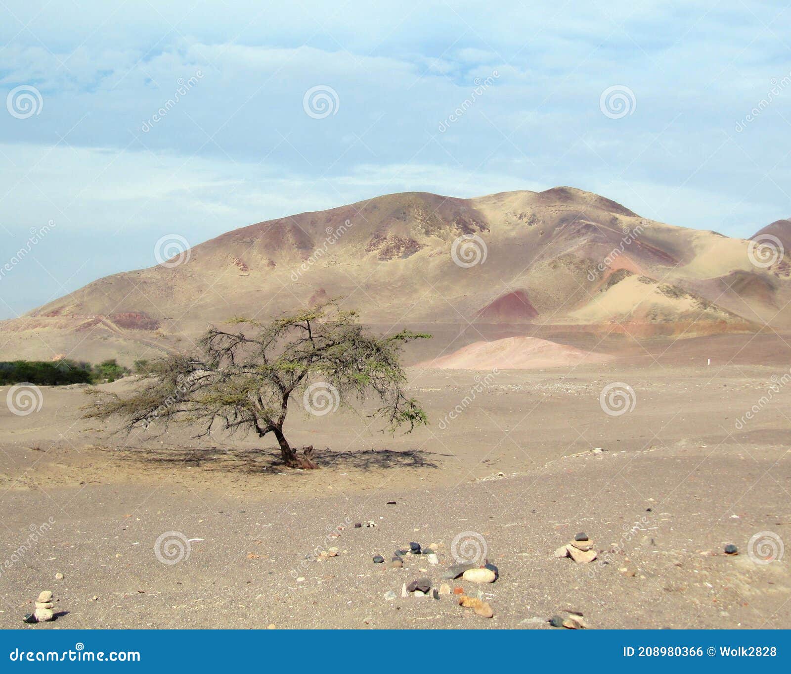 Unique and Beautiful Desert Scenery Stock Photo - Image of plain ...