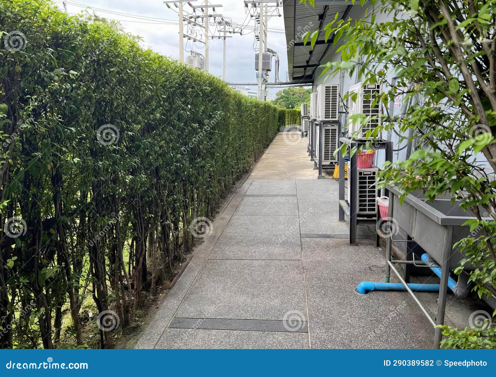 A Photography of a Sidewalk with a Row of Bushes and a Building Stock ...