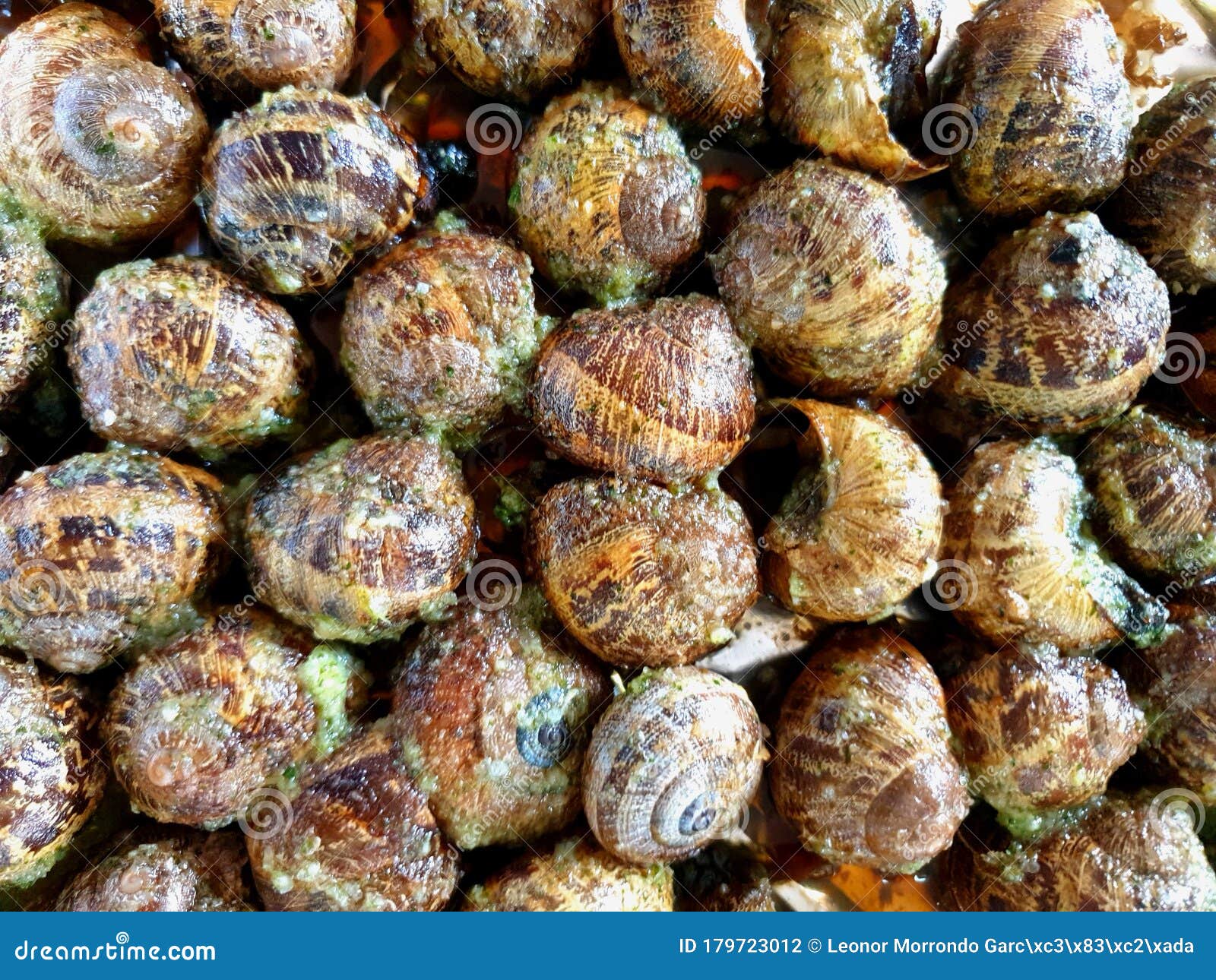 Photography of Snails Cooked in the Llauna. Typical of Catalonia Spain ...