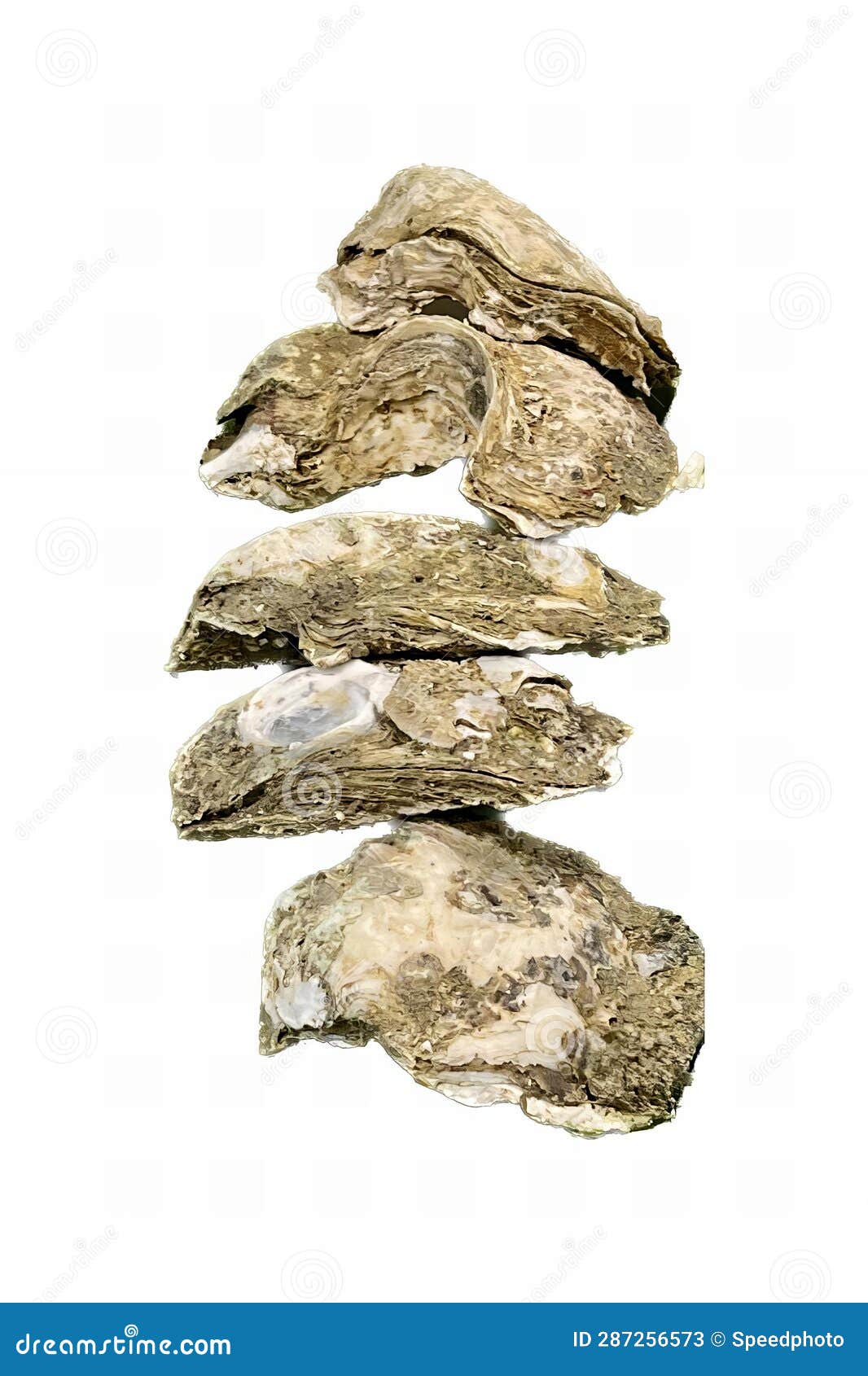 A Photography of a Stack of Oysters on a White Background, Megalithic ...