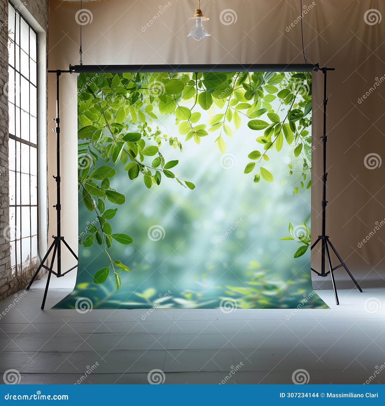 Photography Studio Setup with a Lush Green Forest Backdrop Near a ...