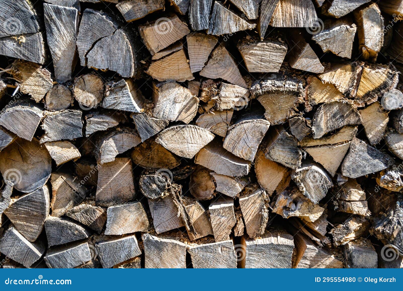 Photography on Theme Big Wall of Stacked Oak Tree Logs in Cracks Stock ...