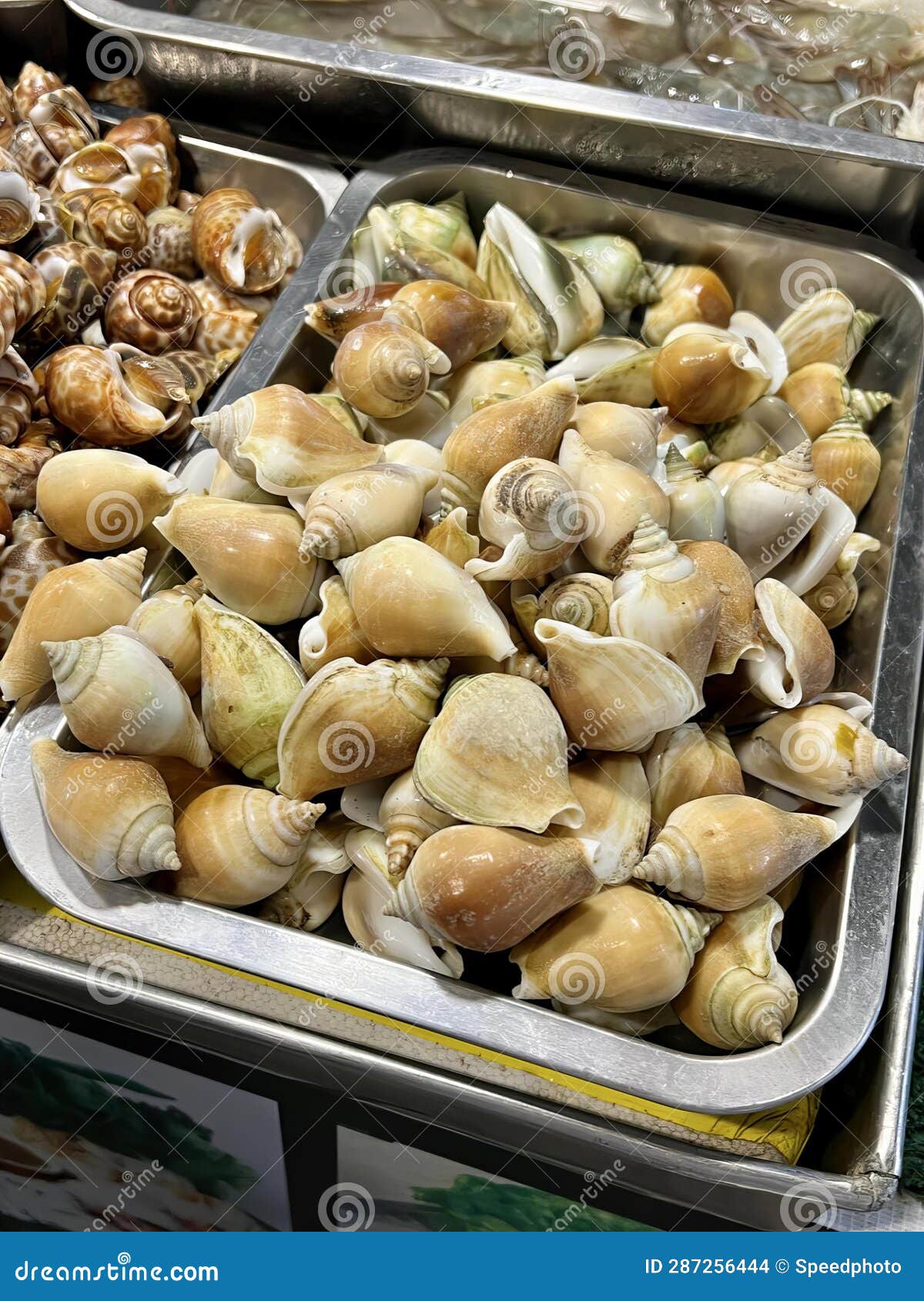 A Photography of a Tray of Shells on a Table, Grocery Store Display of ...