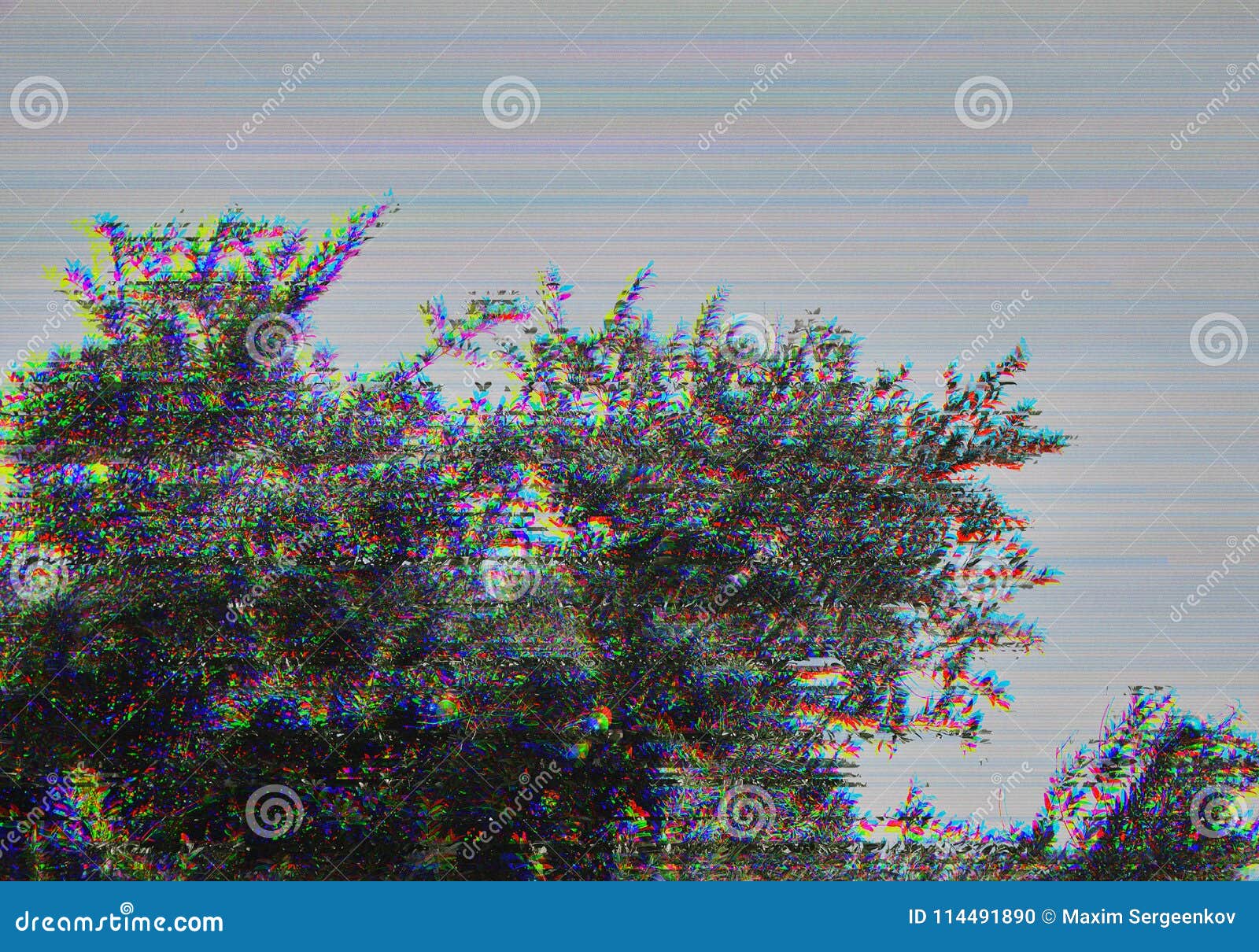 Photography of Tree with Glitch Effect Stock Photo - Image of graphic ...