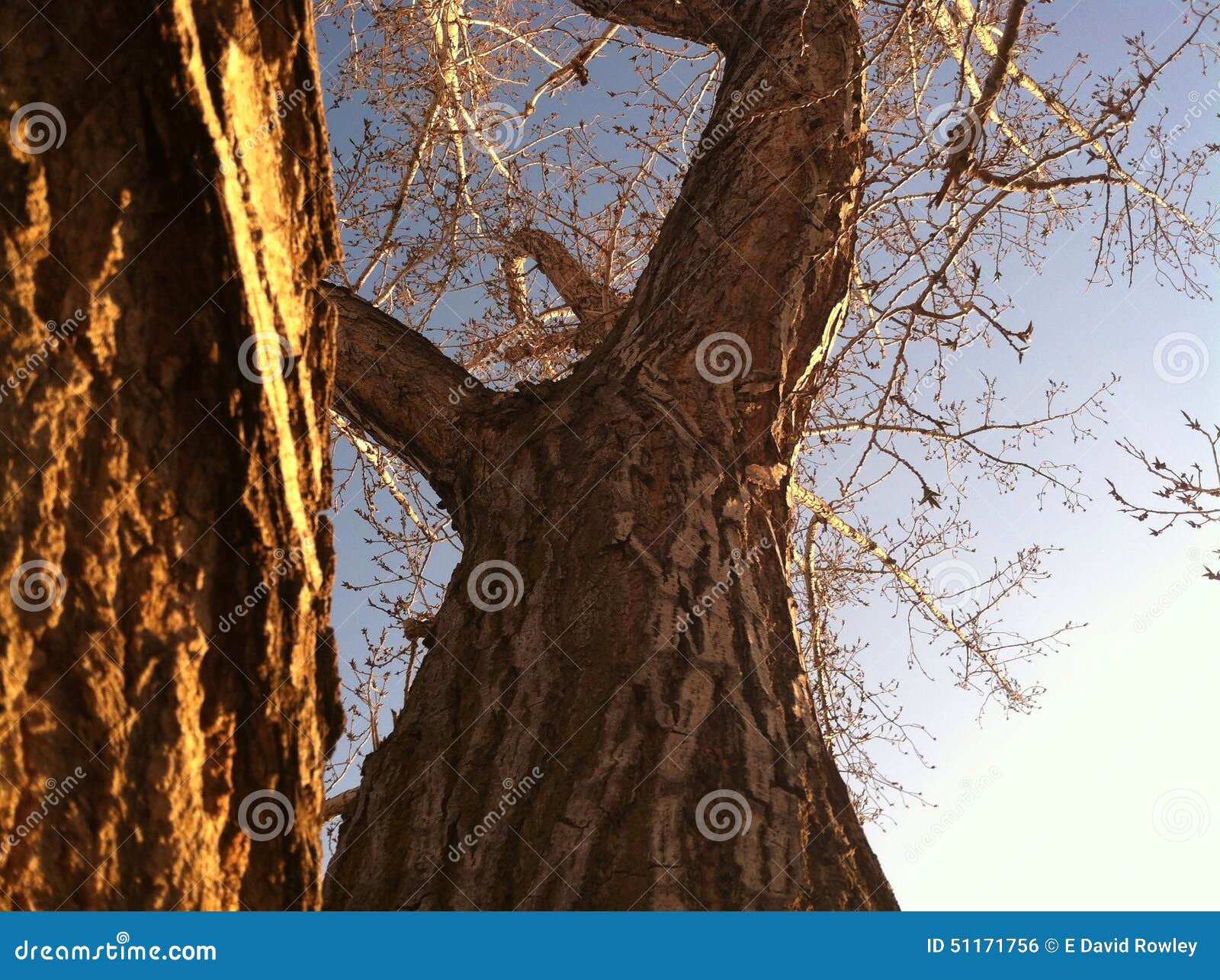 Photography stock photo. Image of camera, sunshine, guys - 51171756