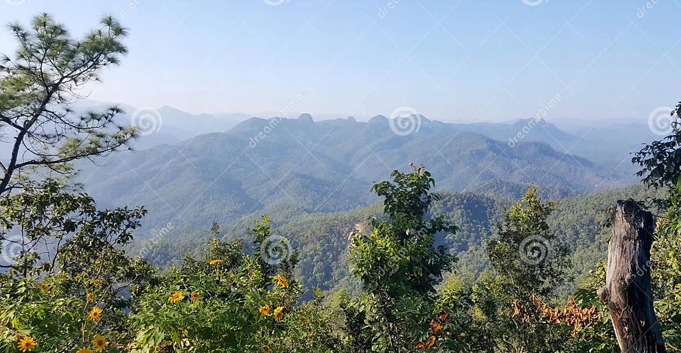 A Photography of a View of a Mountain Range with a Tree Stump Stock ...