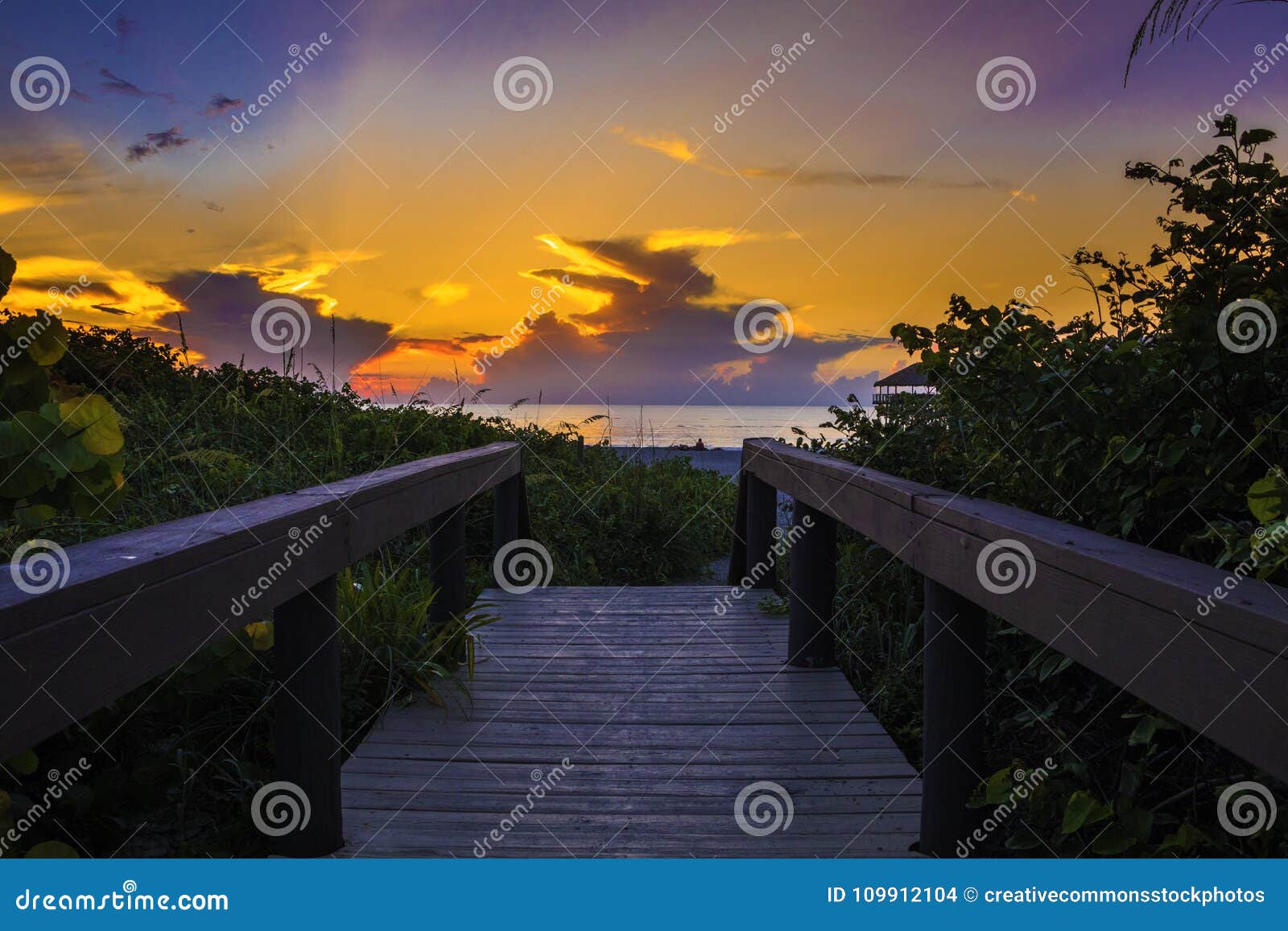 Photography Of Wooden Bridge During Sunset Picture. Image: 109912104
