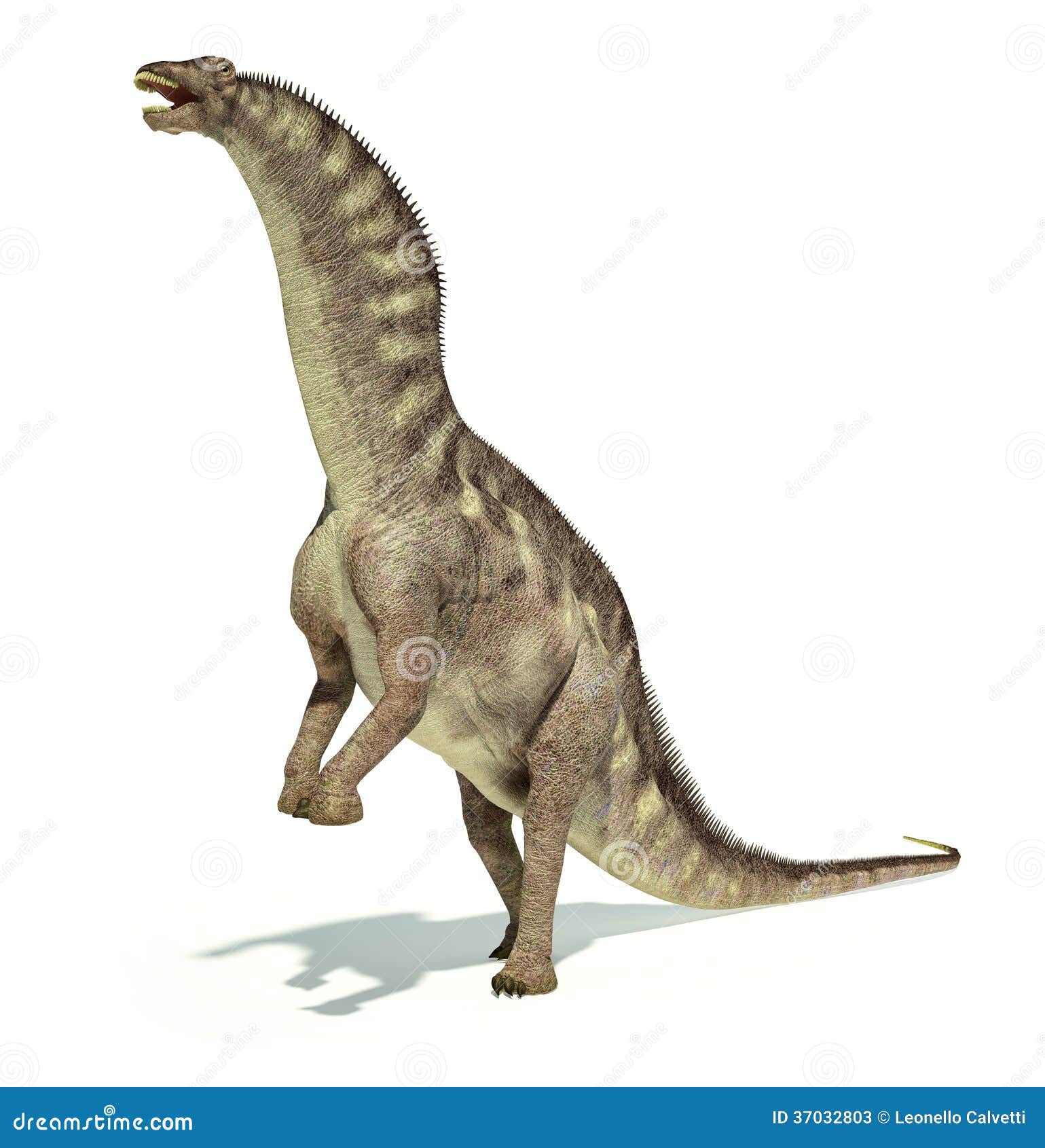 Amargasaurus Dinosaur Head Royalty-Free Stock Image | CartoonDealer.com ...